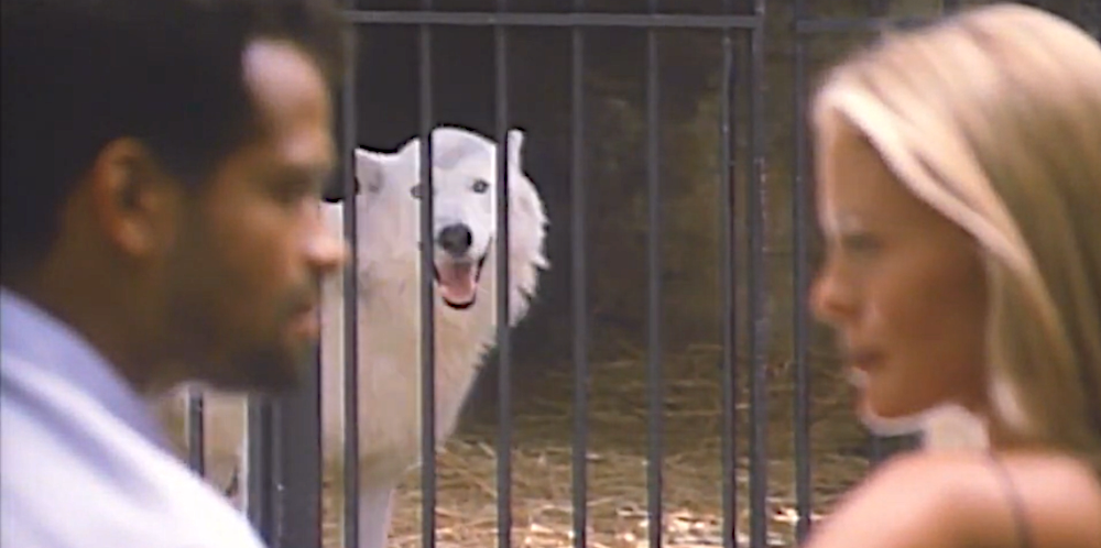 Full Eclipse (1993) – Death Ray Dive